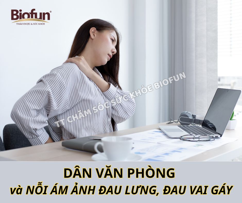 Dân văn phòng và Nỗi ám ảnh mang tên đau lưng, đau vai gáy